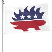 Libertarian Flag