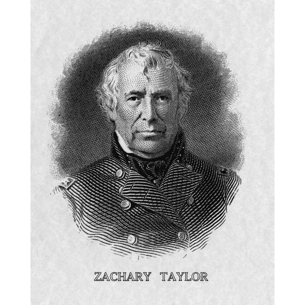 Us Presidents. Us President Zachary Taylor. History (18 x 24) - Walmart.com