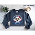 Usa 250 Bald Eagle Sweatshirt, Independence Day Hoodie, Celebrate 250th ...