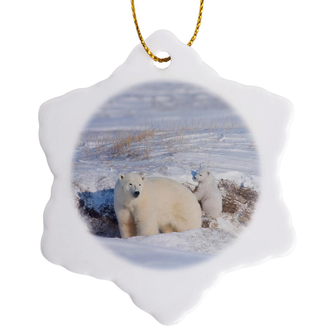3drose, Usa, Alaska, Arctic Nwr. Polar Bear Sow with Cub, 3 inch ...