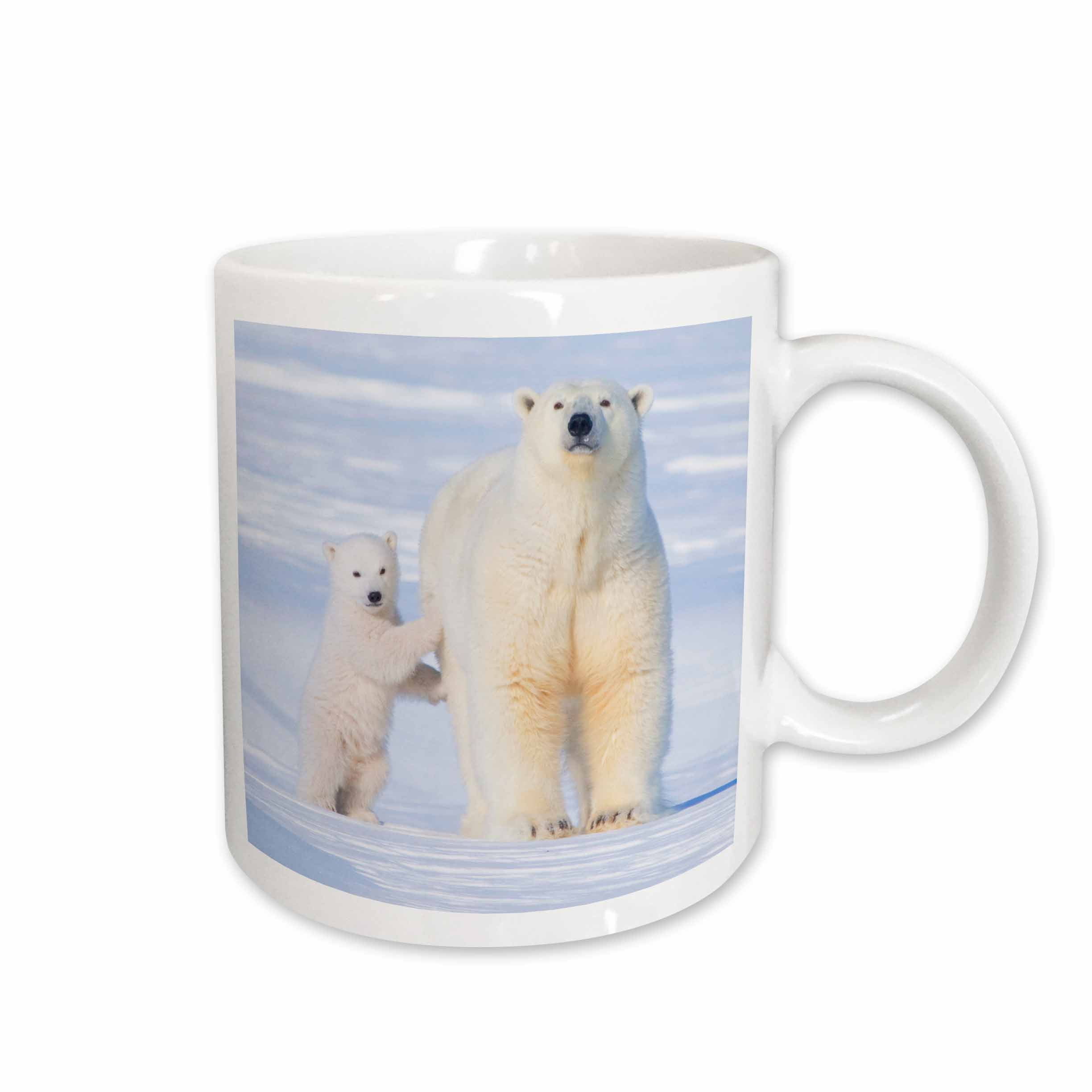 3drose, Usa, Alaska, Arctic Nwr. Polar Bear Sow with Her Cub Outside ...