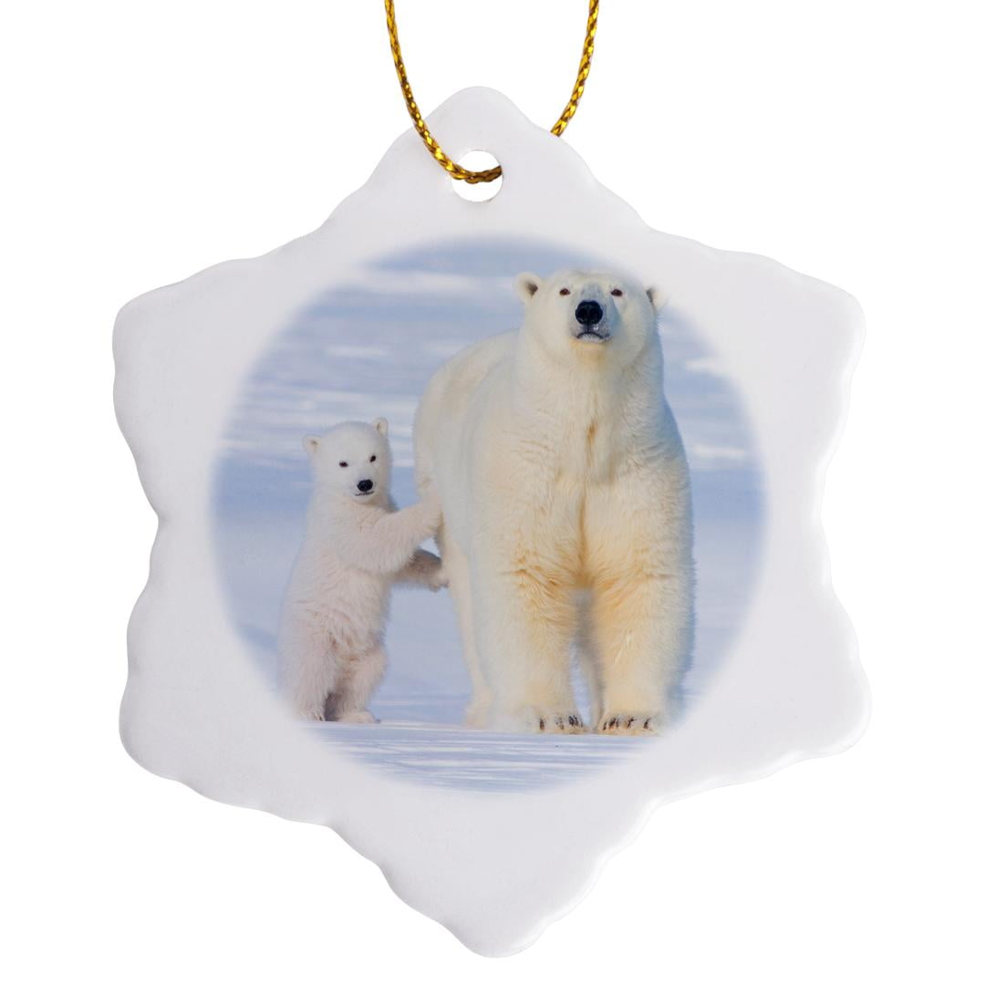 3drose, Usa, Alaska, Arctic Nwr. Polar Bear Sow with Her Cub Outside ...