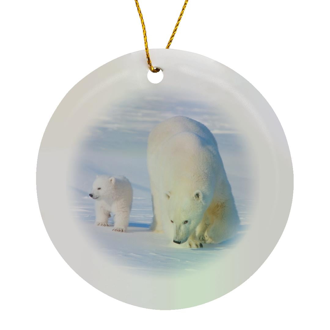Usa, Alaska, Arctic Nwr. Polar Bear Sow With Her Cub Outside Their Den ...