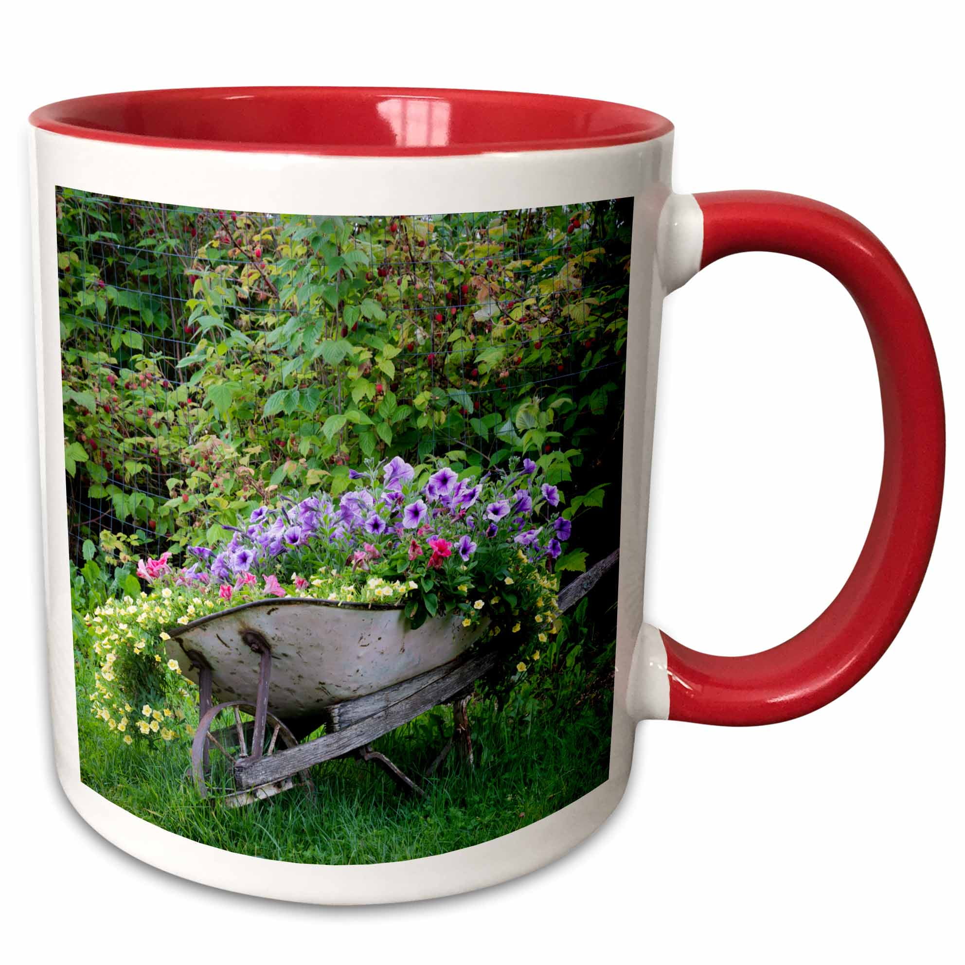 3drose, Usa, Alaska, Chena Hot Springs. Old Wheelbarrow with Flowers ...