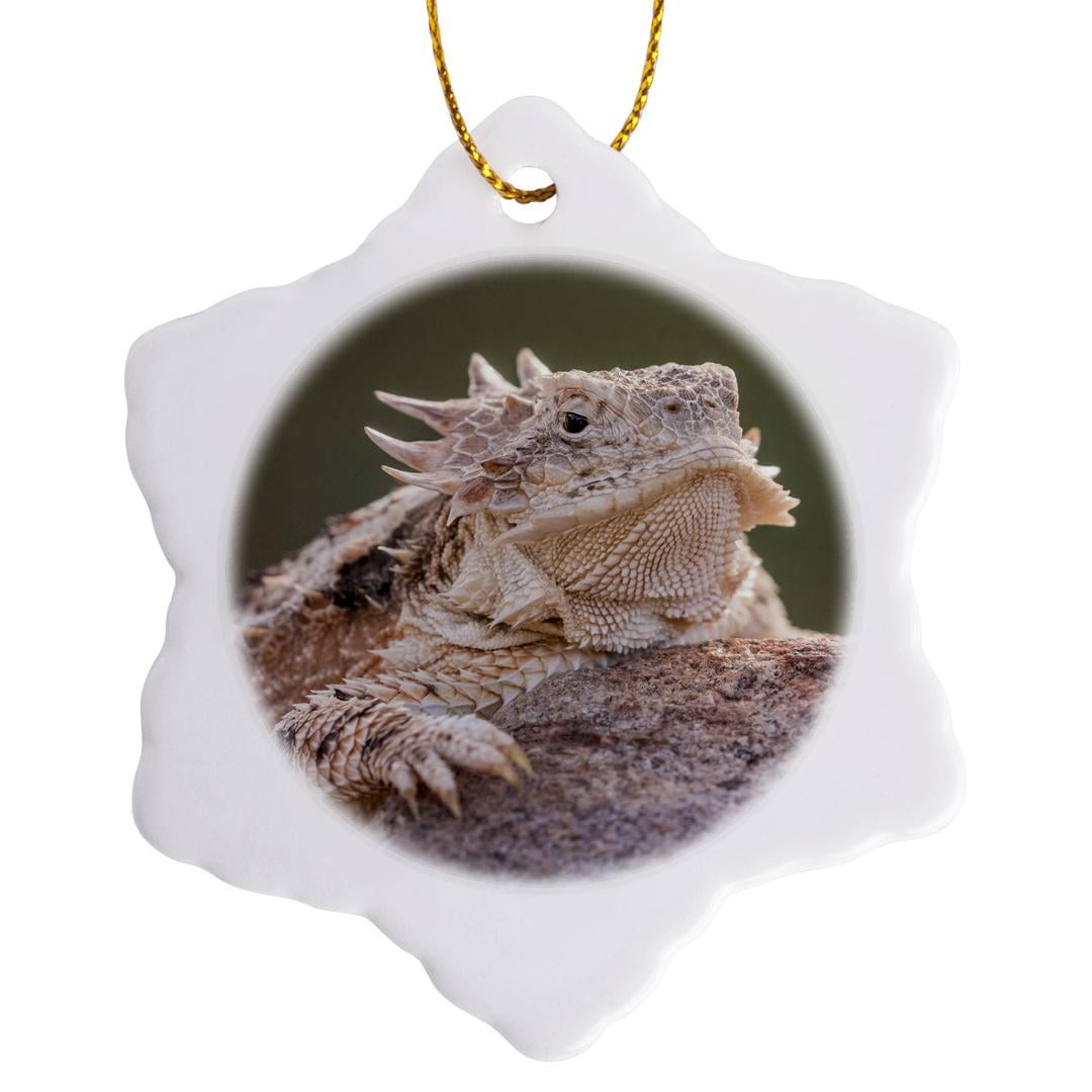 3drose, Usa, Arizona, Santa Cruz County. Regal Horned Lizard on Rock ...