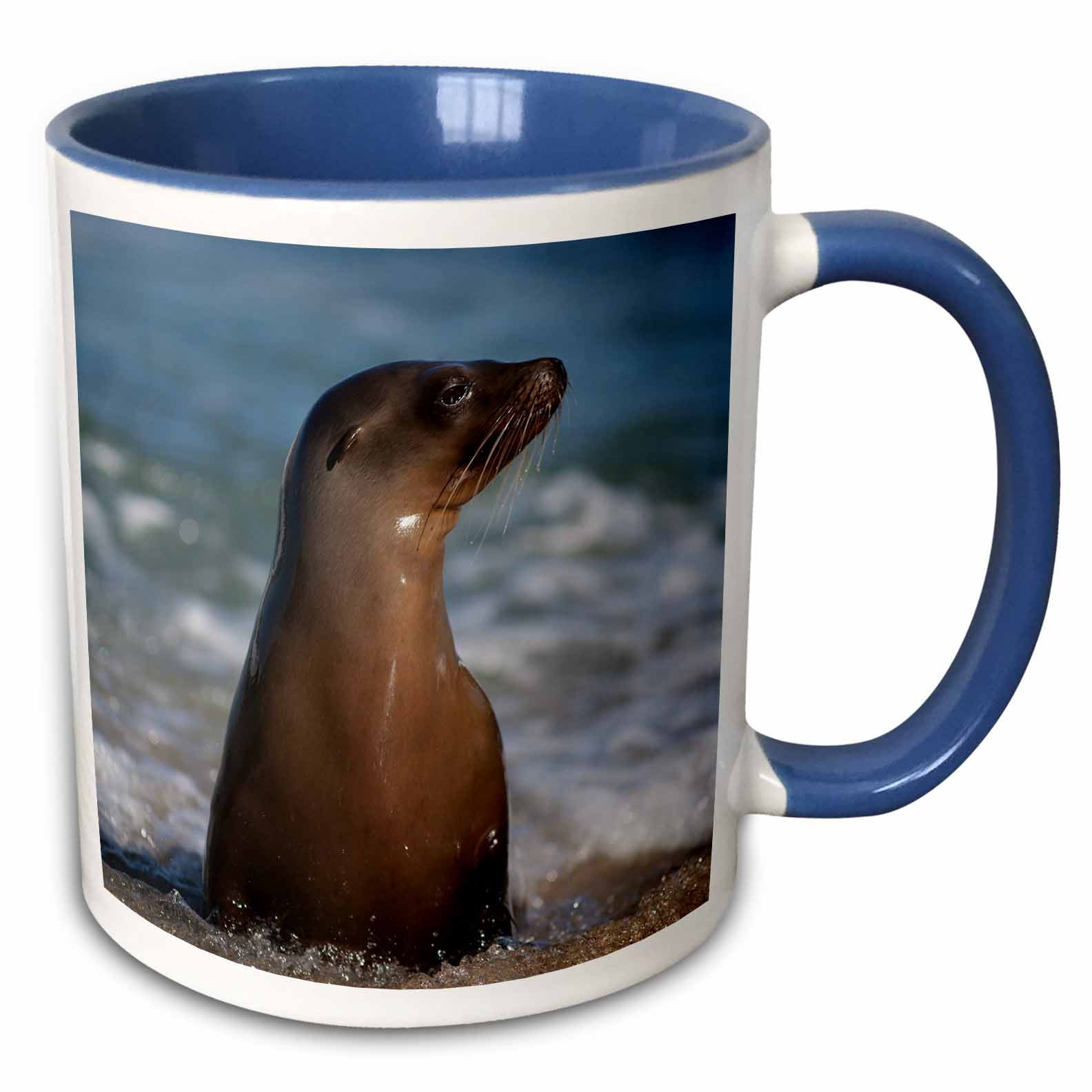 3drose, Usa, California, La Jolla. Young Sea Lion in Beach Water., 11oz Two-tone Blue Mug ...