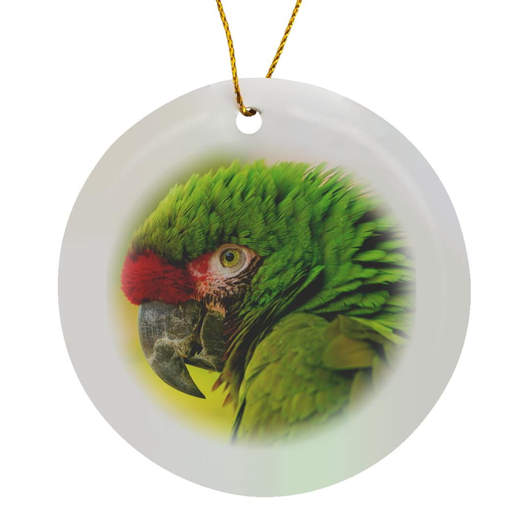 3drose, Usa, California, Santa Barbara. Profile of Macaw at Santa ...
