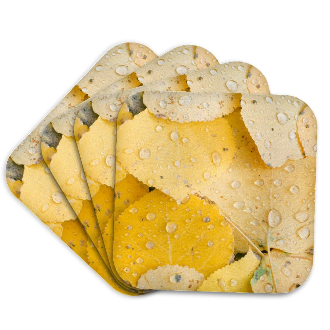 3drose, Usa, Colorado, Gunnison National Forest, Water Drops on Aspen ...