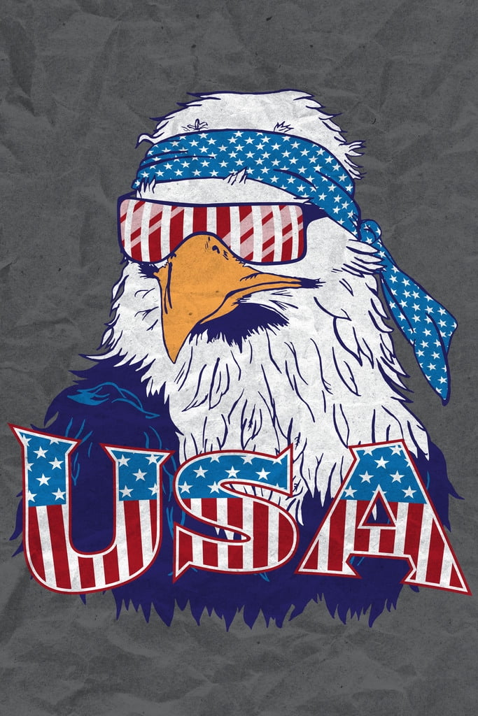 Usa Epic Patriot Bald Eagle Funny Cool Wall Patriotic Posters American ...