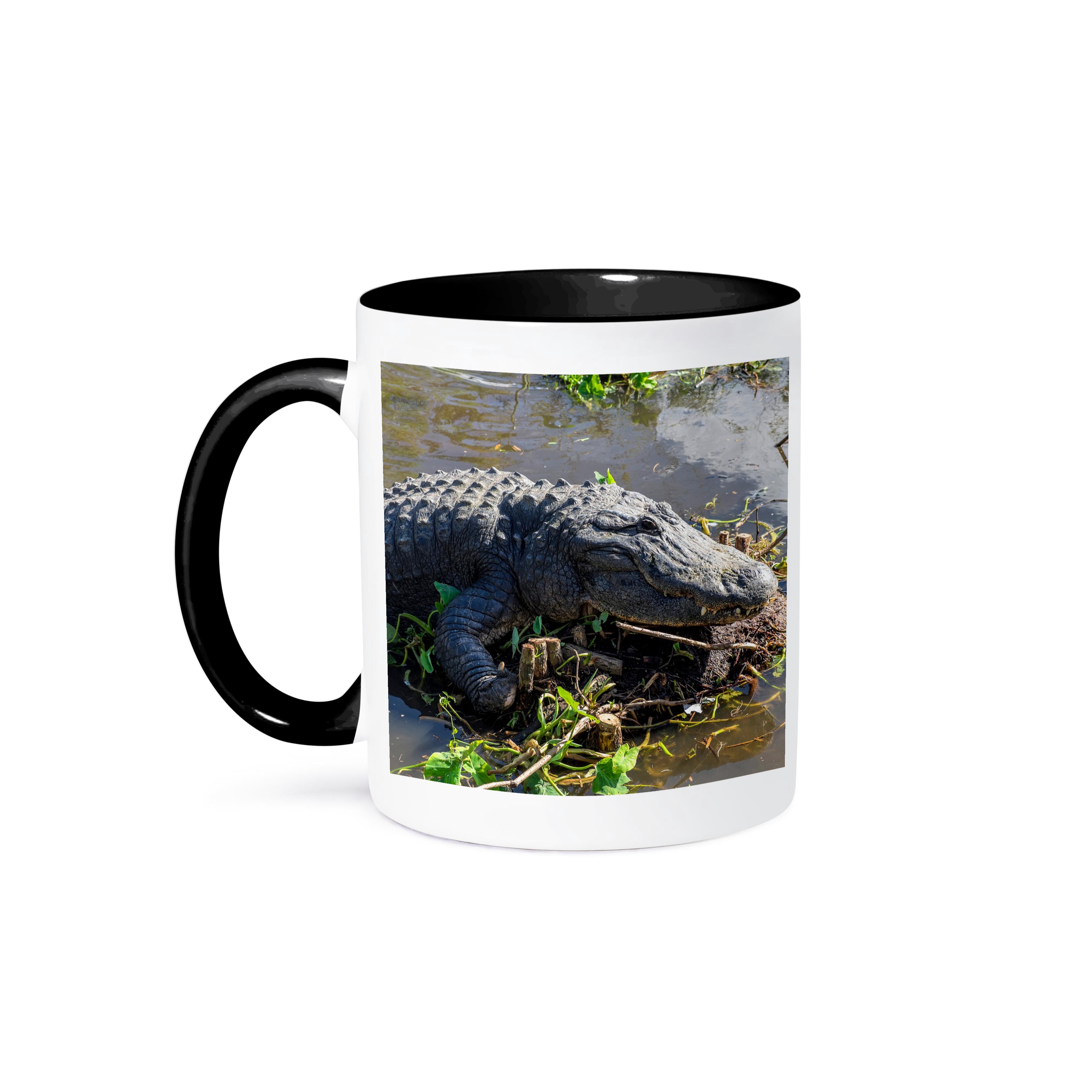 Usa, Florida, Orlando, Alligator Basking On Mud Island, 15oz Two-Tone ...