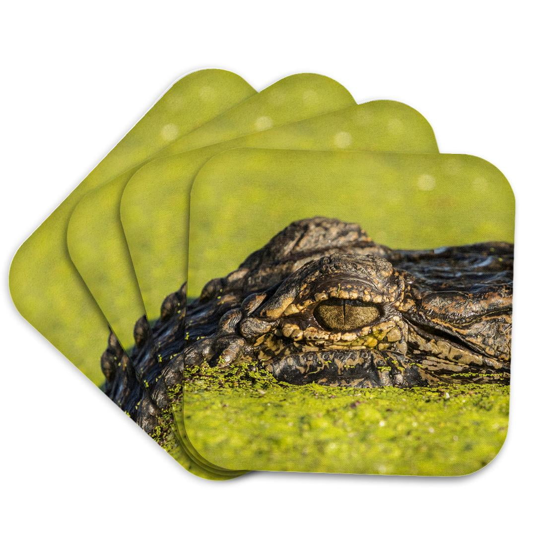 3drose, Usa, Louisiana, Lake Martin. Alligator Head on Swamp Surface ...