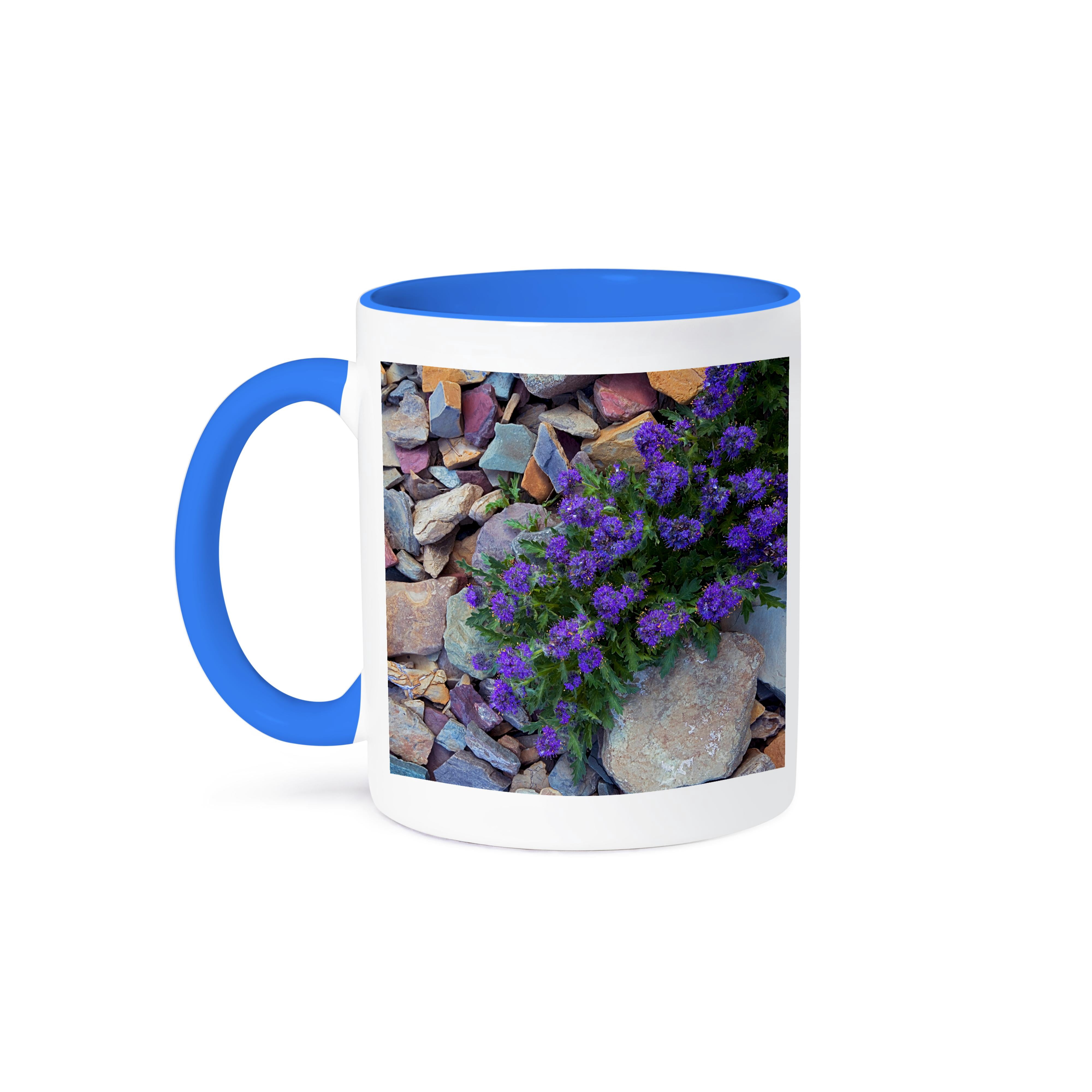 Usa, Montana, Glacier National Park, Silky Phacelia, 11oz Two-Tone Blue ...