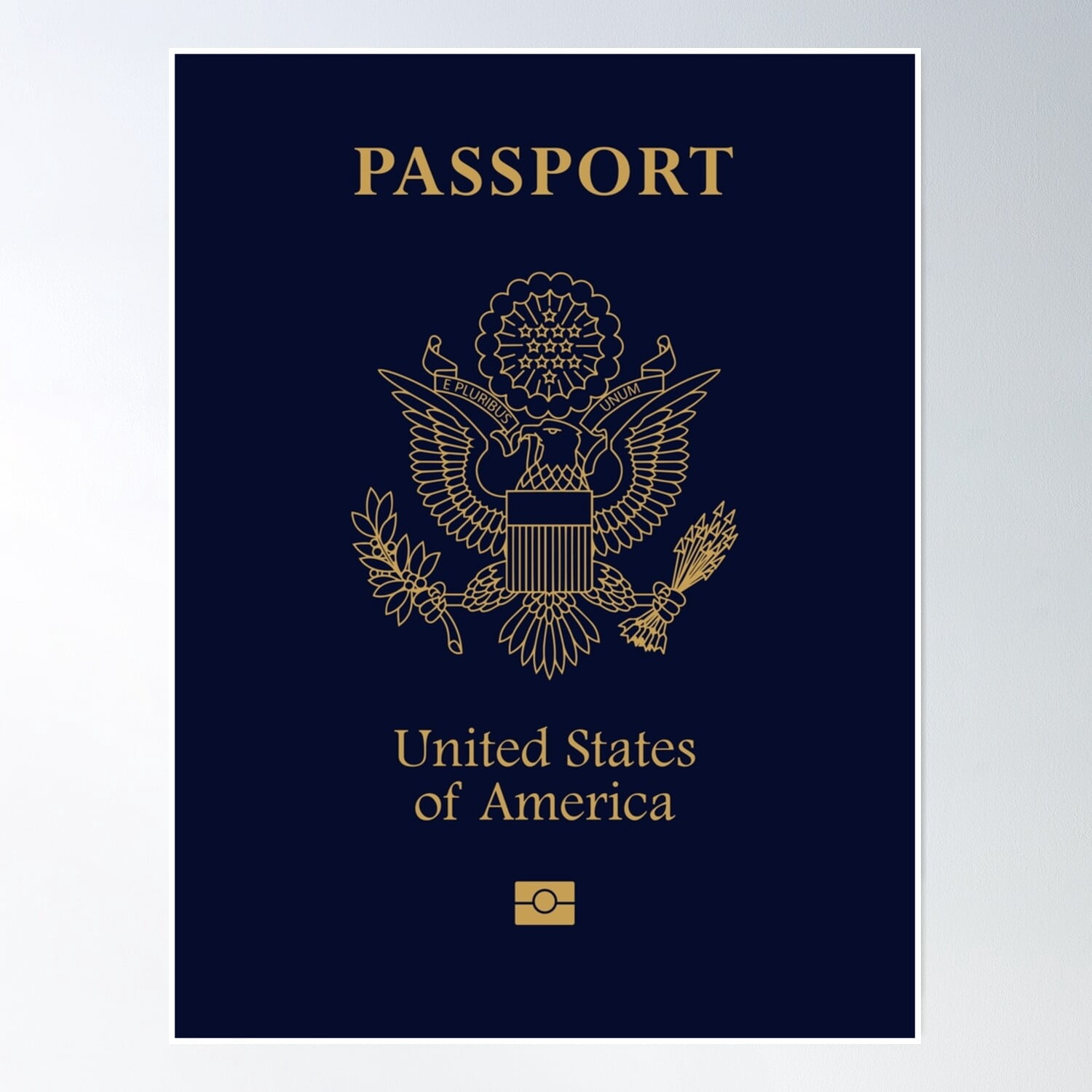 Usa Passport Poster Wall Art, Modern Wall Decor, 8x12 UNFRAMED ...