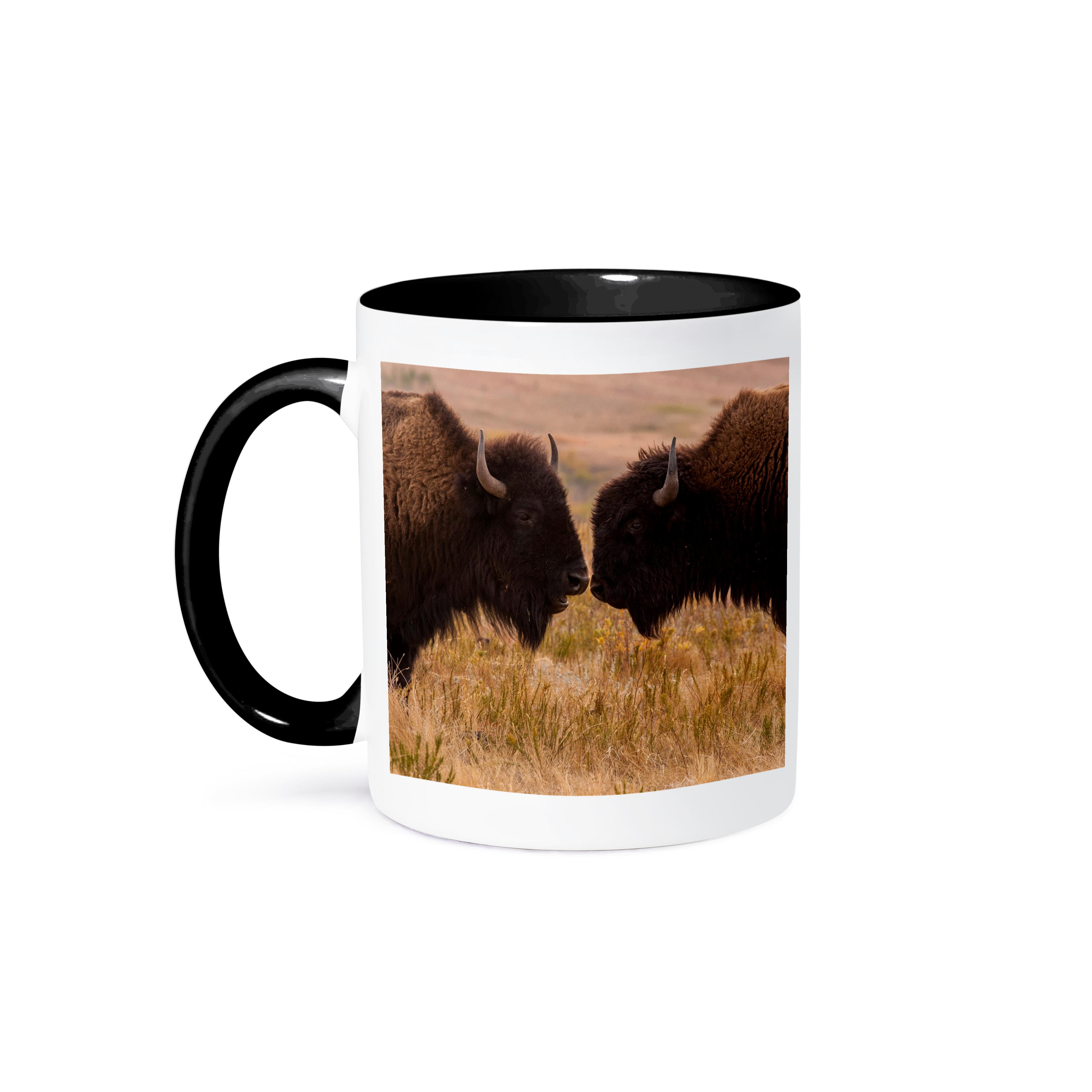 3drose, Usa, South Dakota, Custer State Park. Two Bison Face-to-face ...