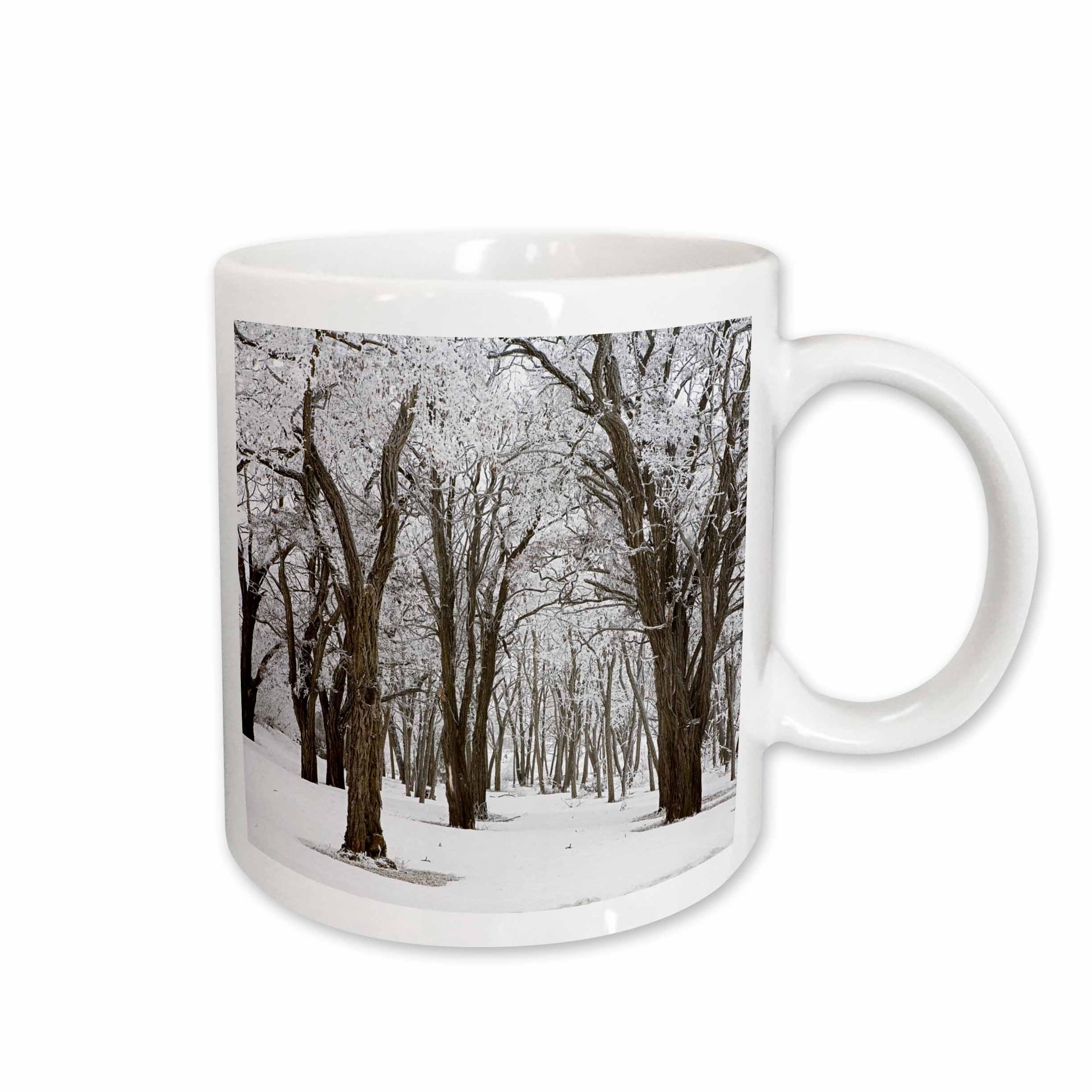 3drose, Usa, Washington, Spokane County, Black Locust Trees with Frost ...