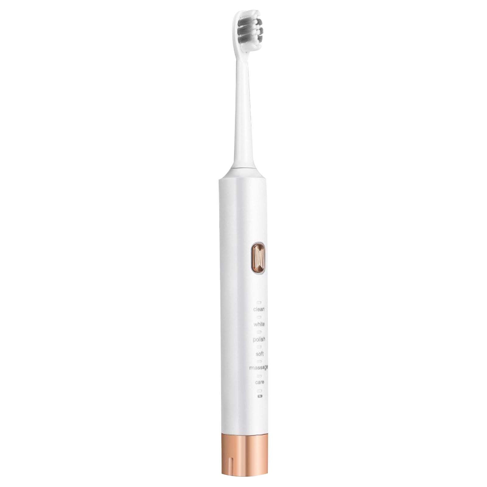 Usb Rechargeable Electric Toothbrush, Dual Brush Heads, 6-Speed Modes ...