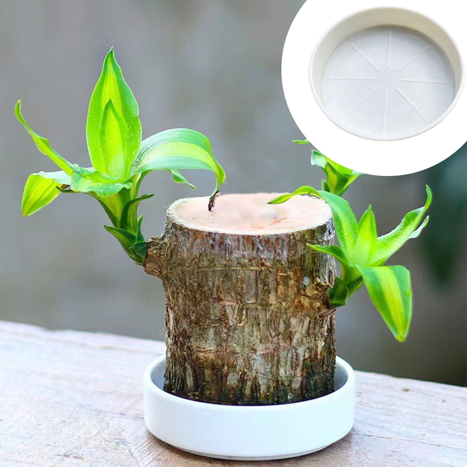 Usbinx Life Plant Drainage Tray Plastic Brazilian Wood Pallet Pot ...