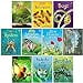 Usborne Beginners Nature 10 Books Set (Ants, Bugs, Spiders, Tree ...