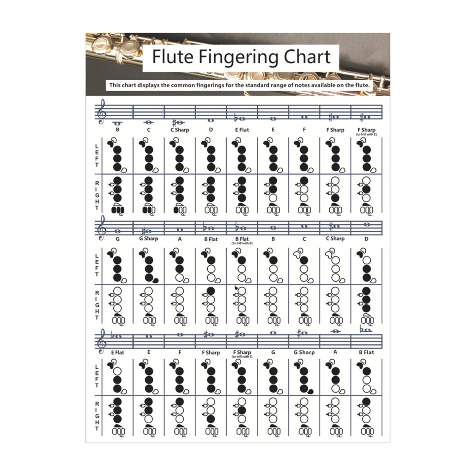 Useful Flute Fingering Chart Poster Practical Instrument Accessories ...