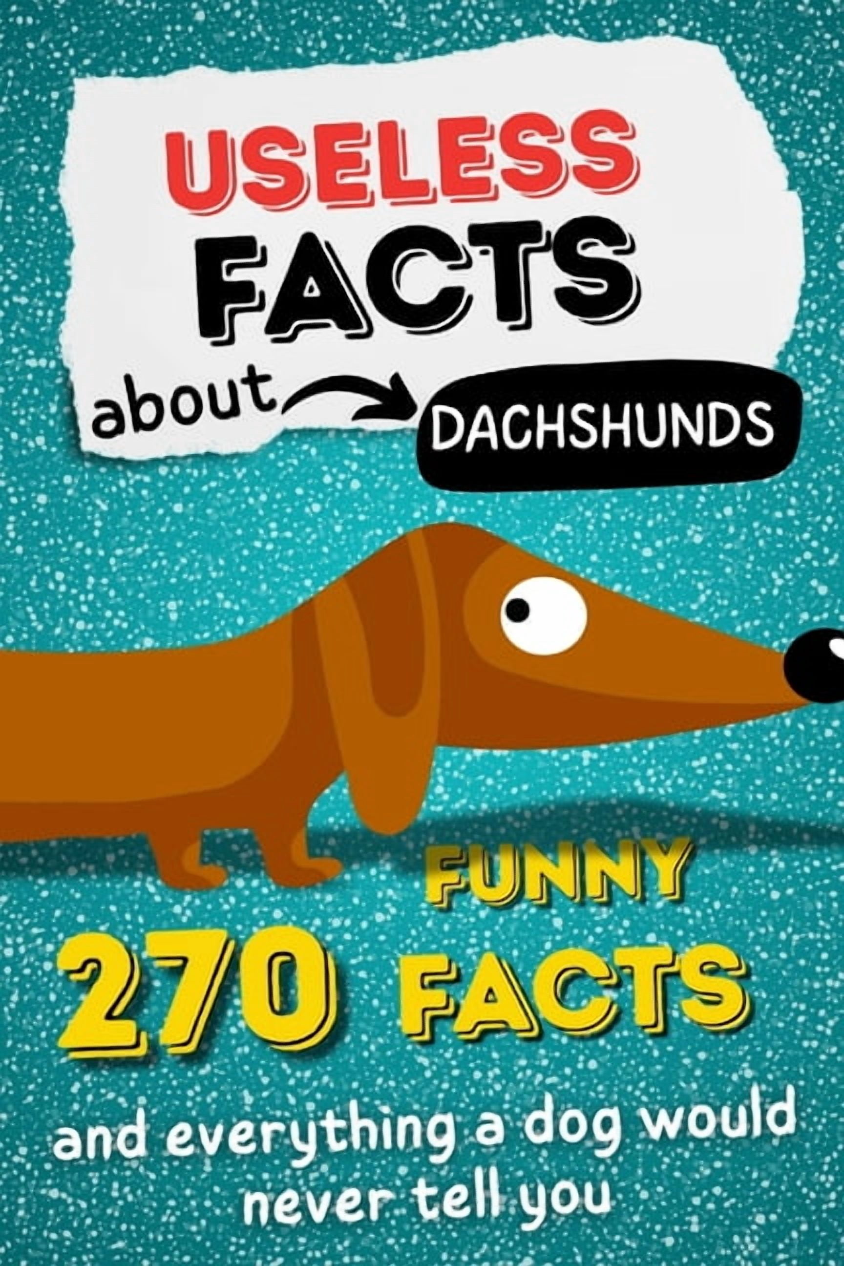 Useless facts about Dachshunds - 270 funny facts and everything a dog ...