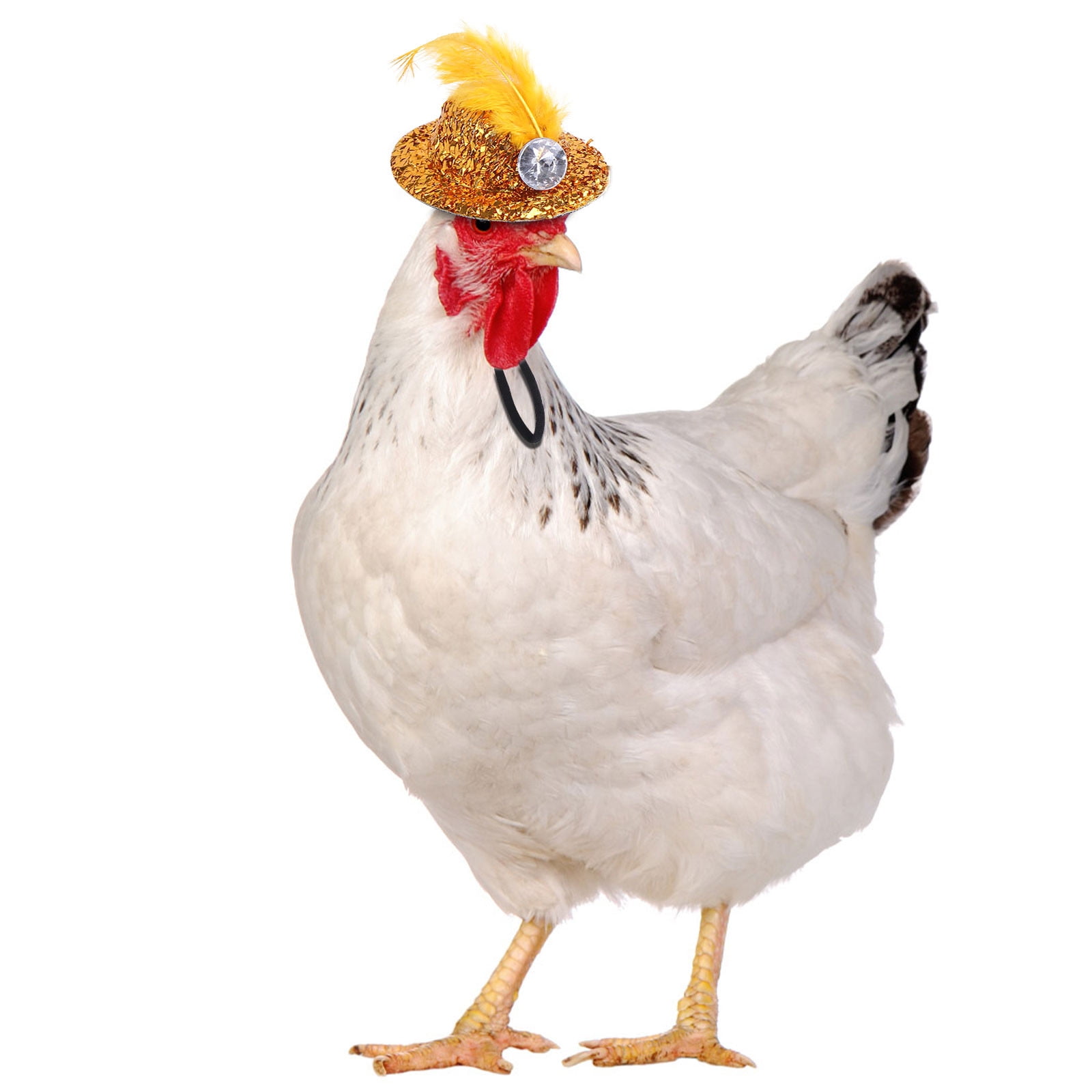 Usmixi Pet Hat Chicken Hat for Animals Hat Accessories Dress Up for ...
