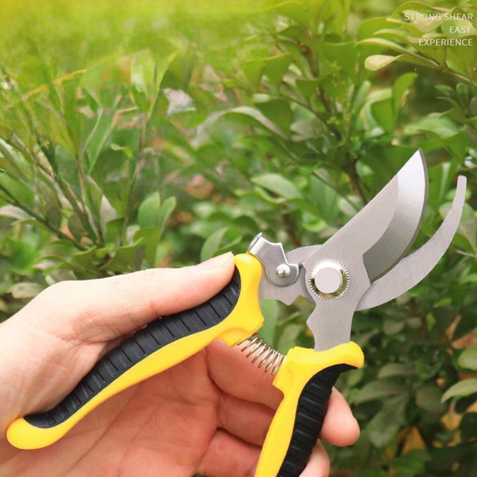 Usmixi Scissors for Pruning Fruit Trees Pruning Rough Branches In ...