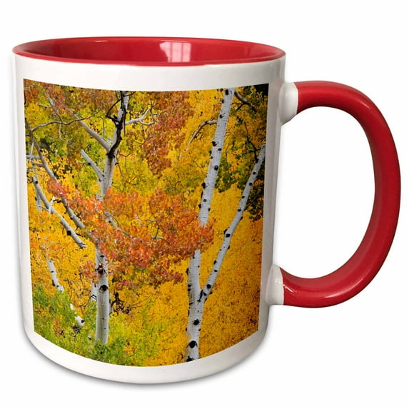 3drose, Utah, Dixie National Forest, Aspen Forest Along Highway 12 in ...