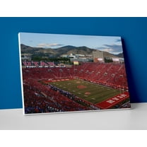 Miami Hurricanes Football Stadium Poster or Canvas Wall Art - Walmart.com