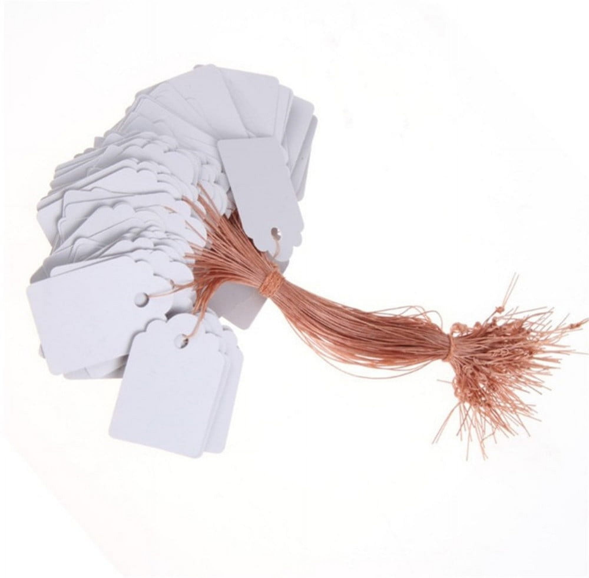 Utoimkio Clearance 100Pcs Plant Hanging Tags with String,Reusable Plant ...