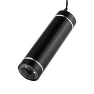 Wildlight Animal Carabiner Flashlight - Brown T-Rex | Animal Keychain ...