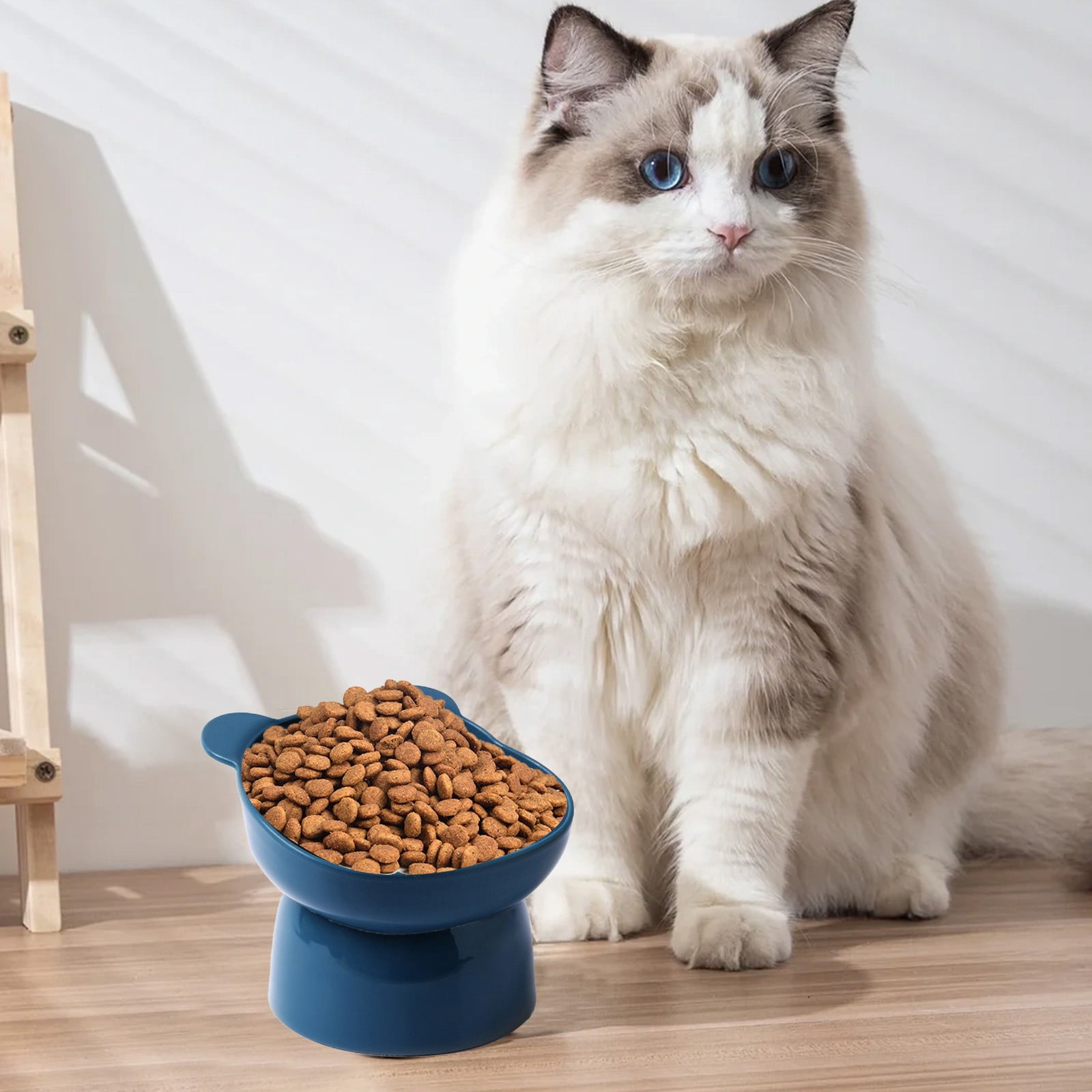 Uuiauoio Tilted Cat Food Bowls, Cats Dishes for Food and Water ...
