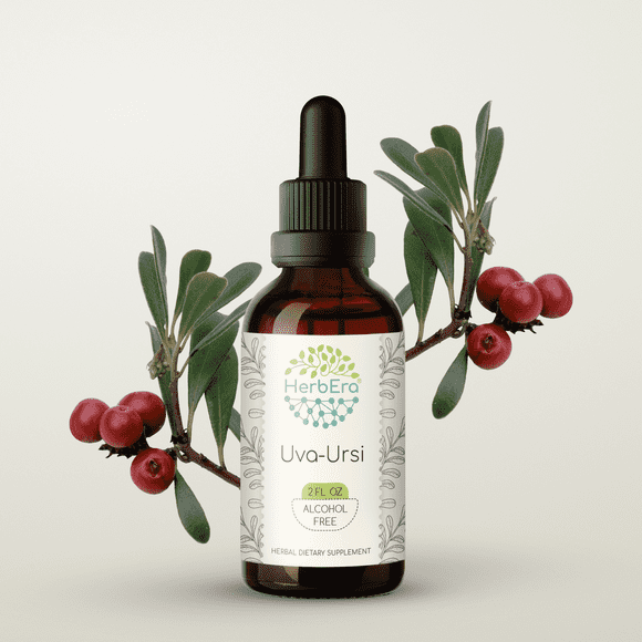 Uva Ursi