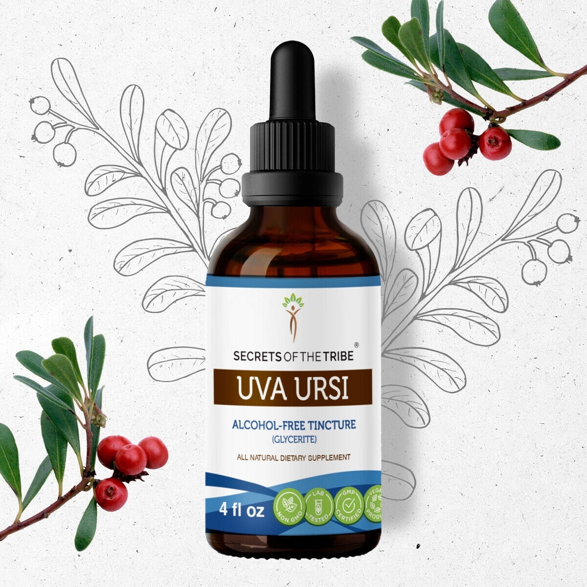 Secrets Of The Tribe Uva Ursi Tincture Dietary Supplement, Natural ...