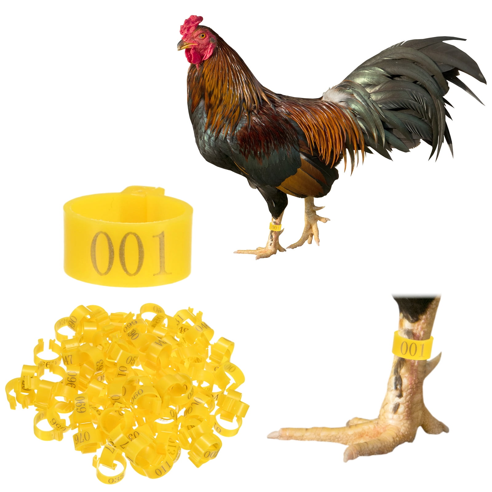 Uxcell 100-Pack Adjustable Chickens Leg Bands for Poultry ...