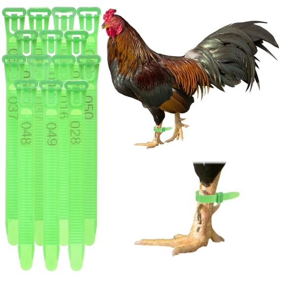 Uxcell 100-Pack Adjustable Chickens Leg Bands for Poultry ...