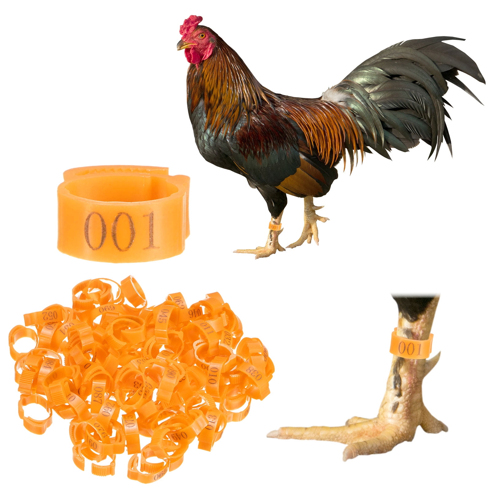 Uxcell 100-Pack Adjustable Chickens Leg Bands for Poultry ...