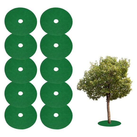 Tree Rings Landscaping