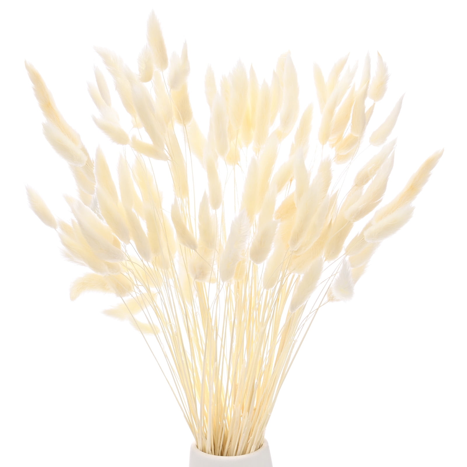 Uxcell 120-Pack Bunny Tails Grass 17 Inch Fluffy Rabbit Tail Grass ...