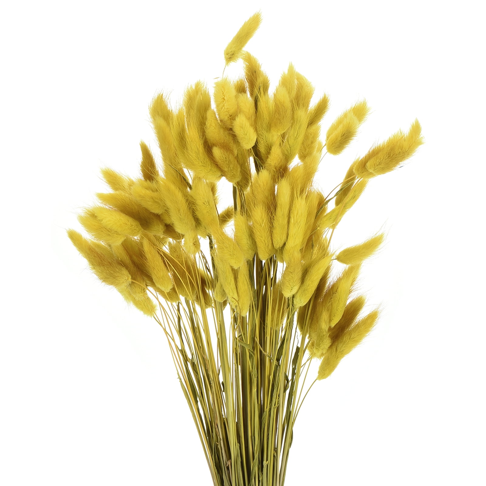 Uxcell 120pcs Natural Rabbit Bunny Tails Dried Flowers 17" Mini Pampas ...