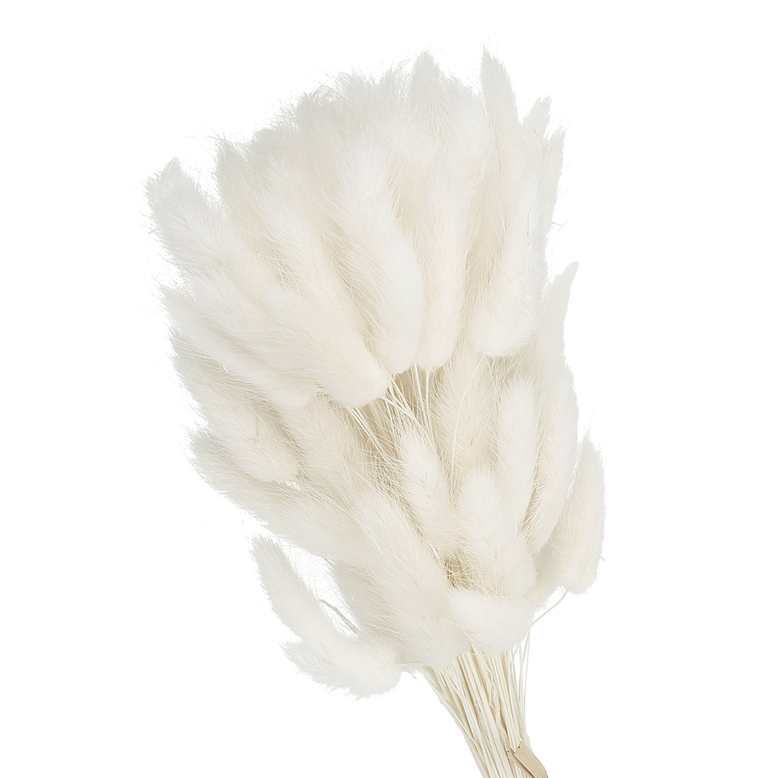 Uxcell 15.7in Bunny Tails Dried Flowers, 70pcs Pampas Grass Decor ...
