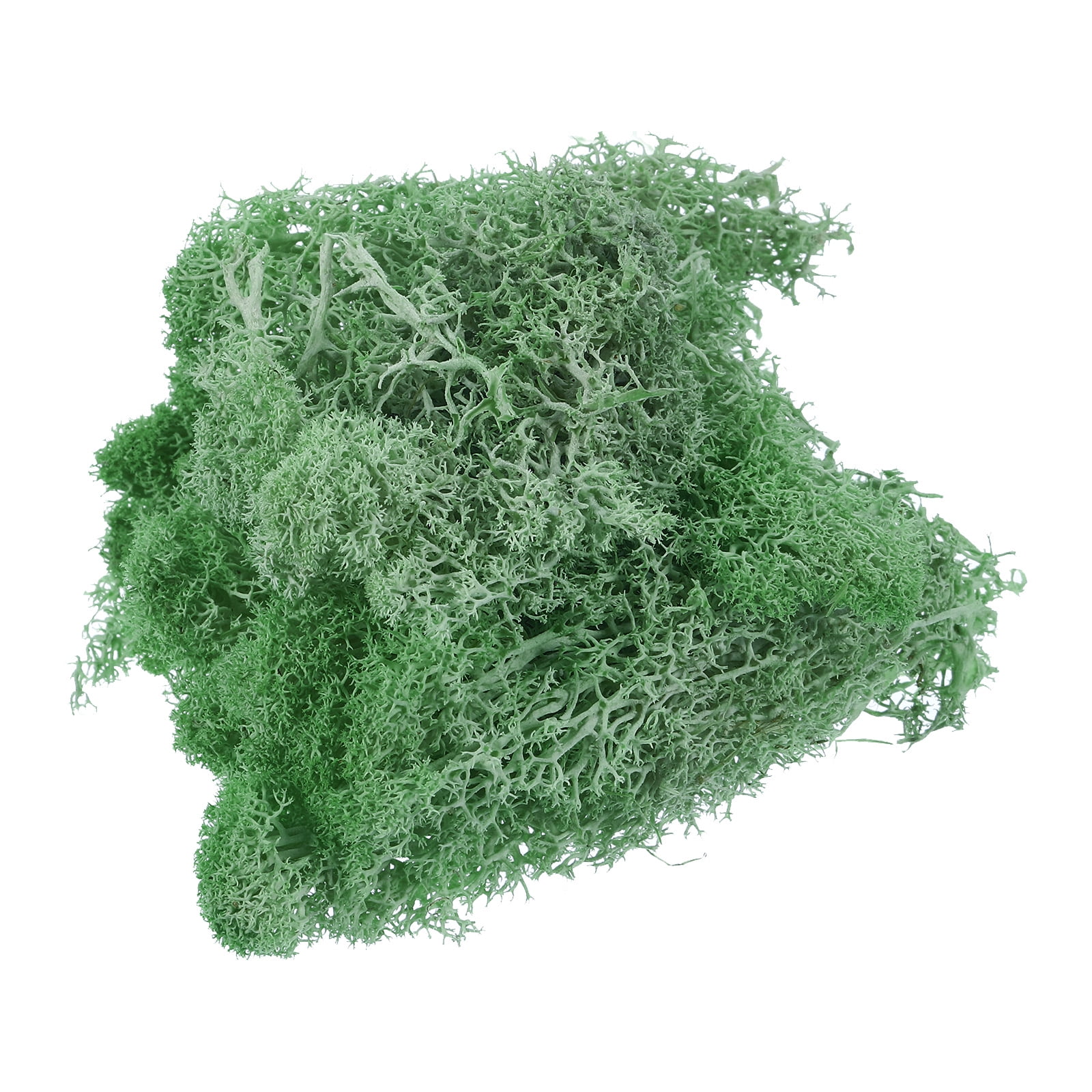 Uxcell 17.6 OZ Moss Fake Craft Moss Artificial Moss Natural Preserved ...
