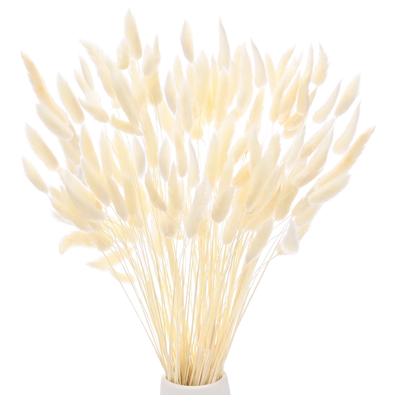Uxcell 180-Pack Bunny Tails Grass 17 Inch Fluffy Rabbit Tail Grass ...