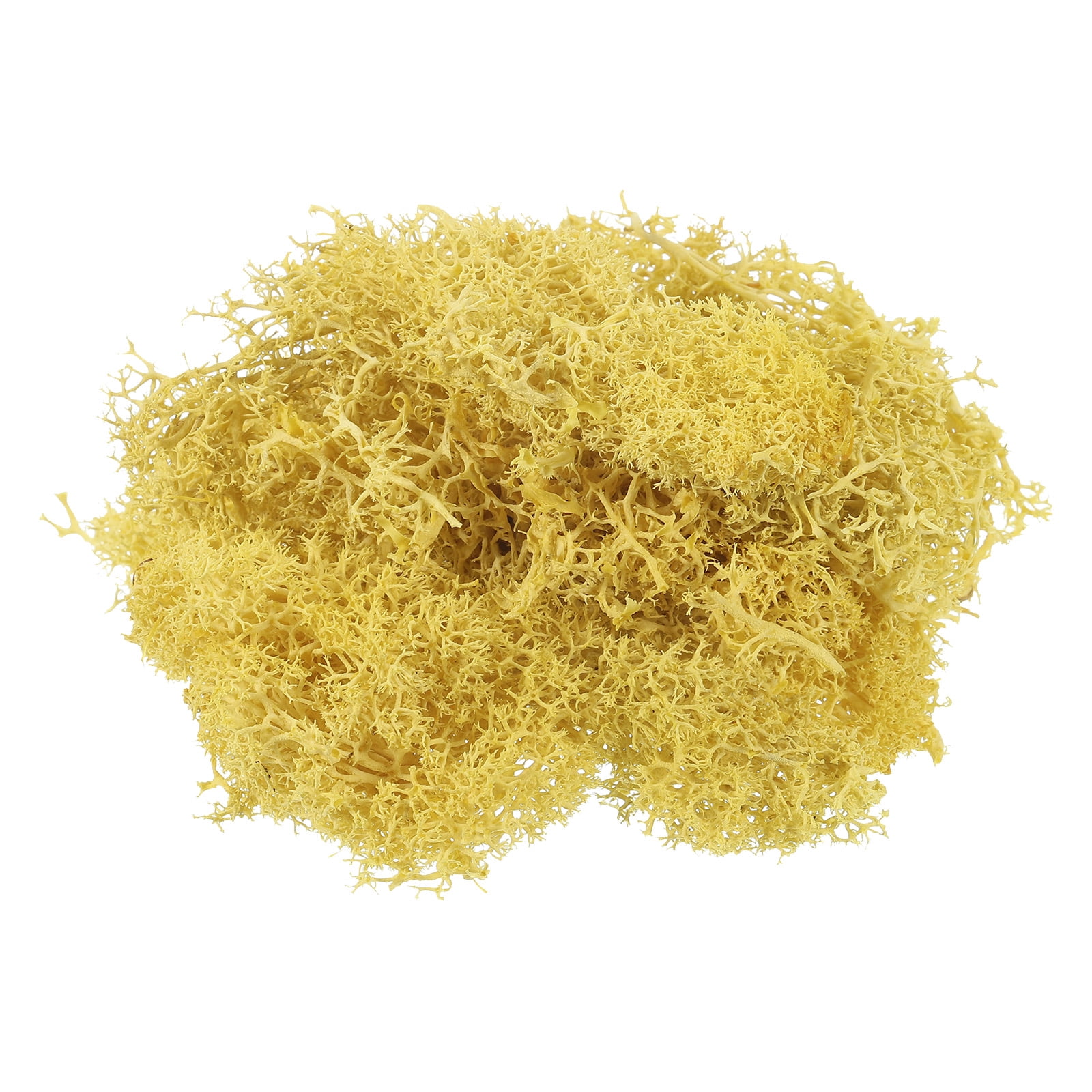 Uxcell 3.5 OZ Moss Preserved Moss Artificial Moss for Craft Floral ...