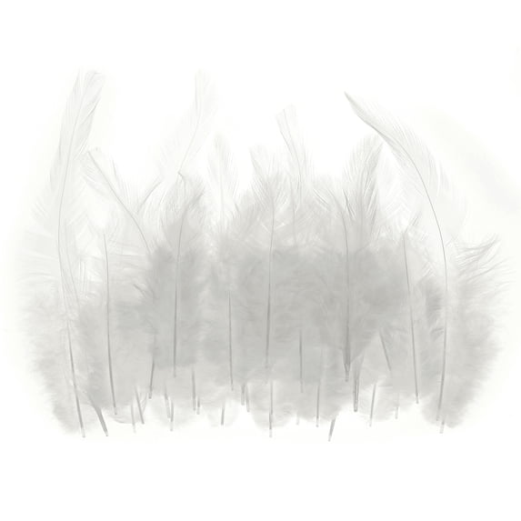Uxcell 3-6 inch Saddle Hackle Rooster Feather Bulk Natural Feathers ...