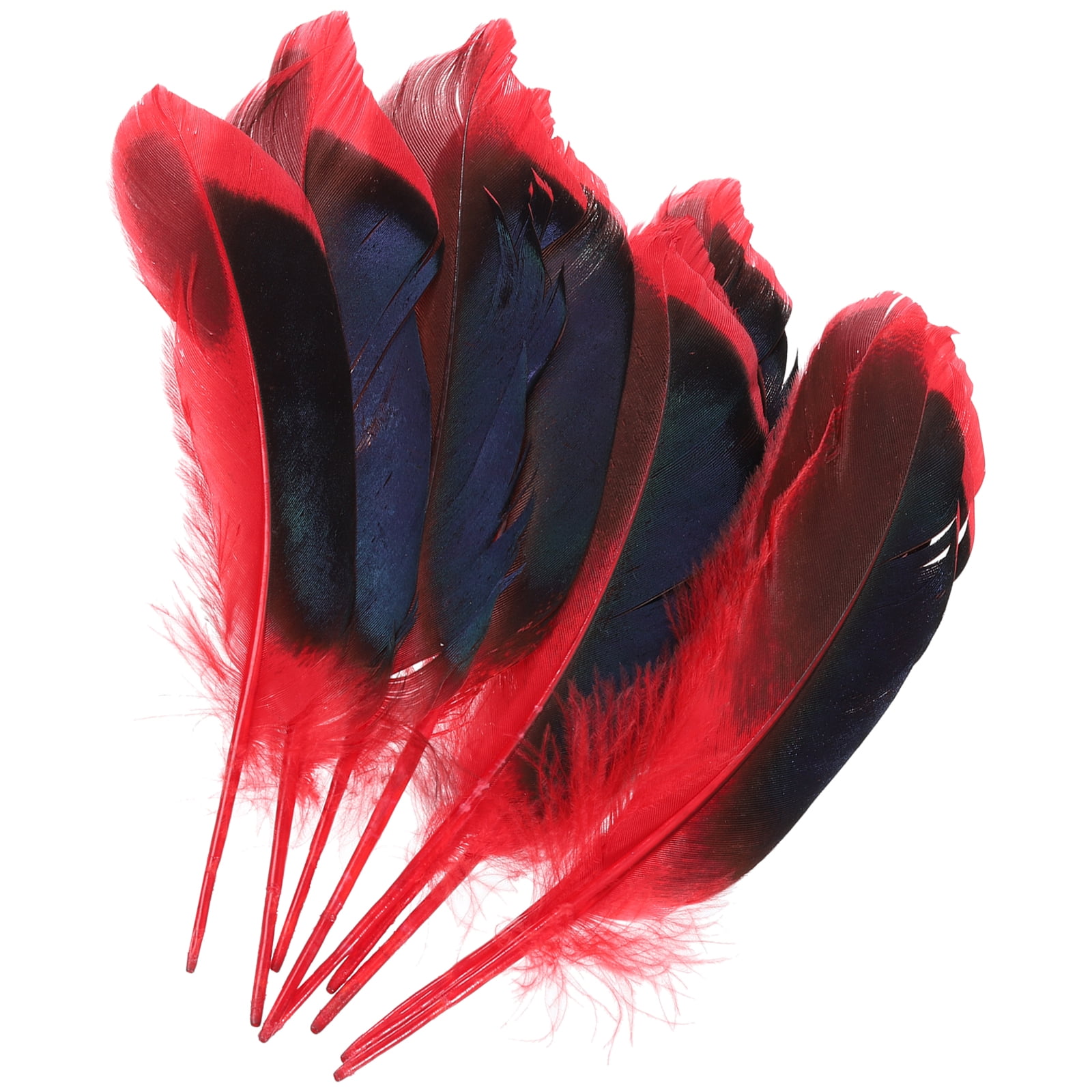 Uxcell 4-6 Inch Natural Feathers, 150 Pack Bulk Feathers for Crafts ...
