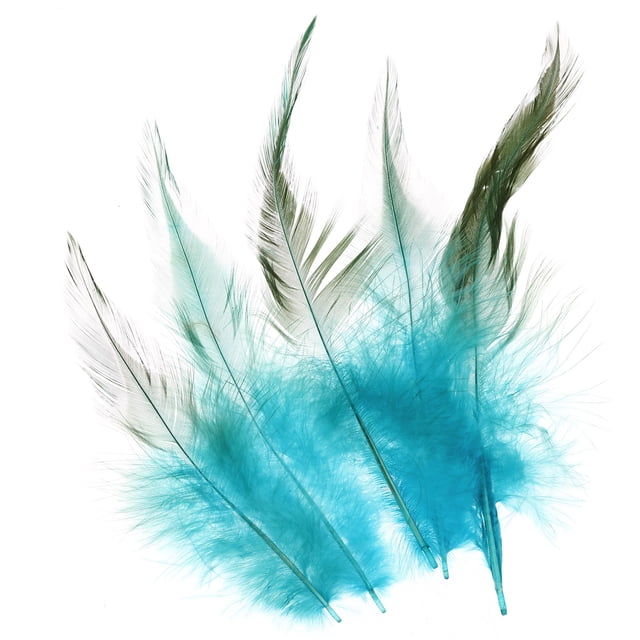 Uxcell 5-6 Inch Rooster Feathers, 200 Pack Bulk Natural Feathers for ...