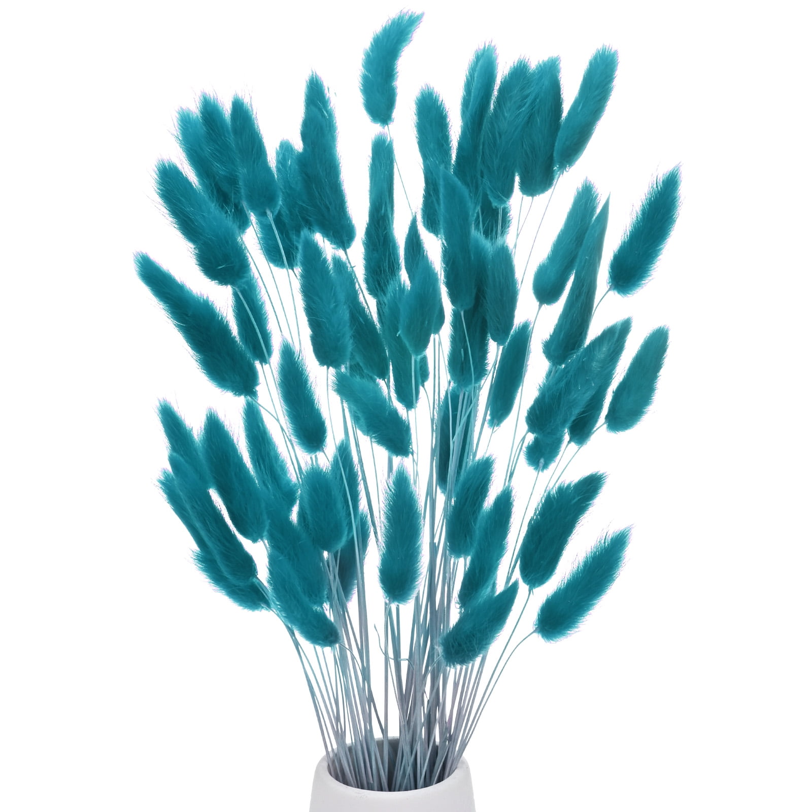 Uxcell 60-Pack Bunny Tails Grass 17 Inch Fluffy Rabbit Tail Grass Dried ...