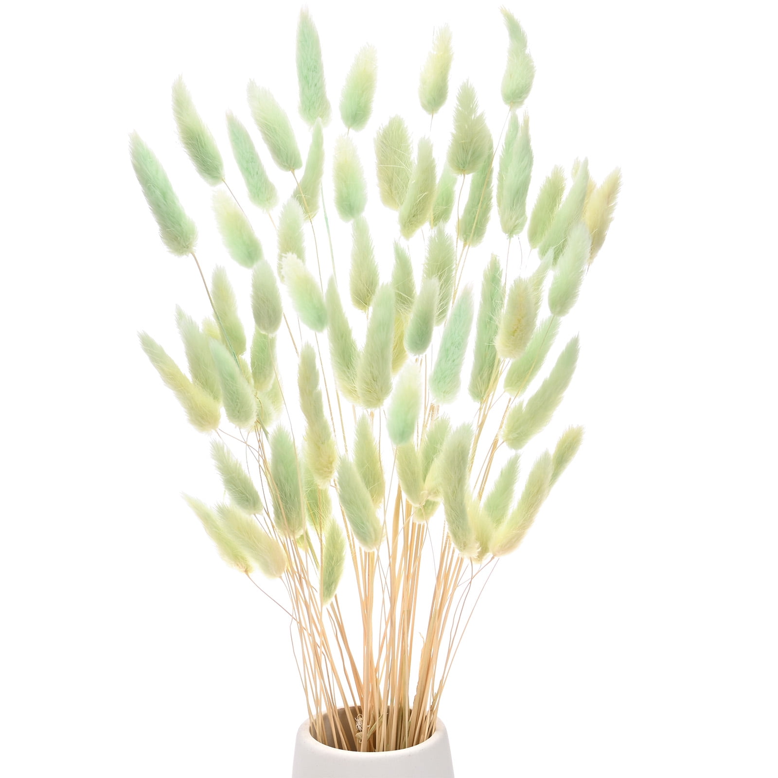 Uxcell 60-Pack Bunny Tails Grass 17 Inch Fluffy Rabbit Tail Grass Dried ...