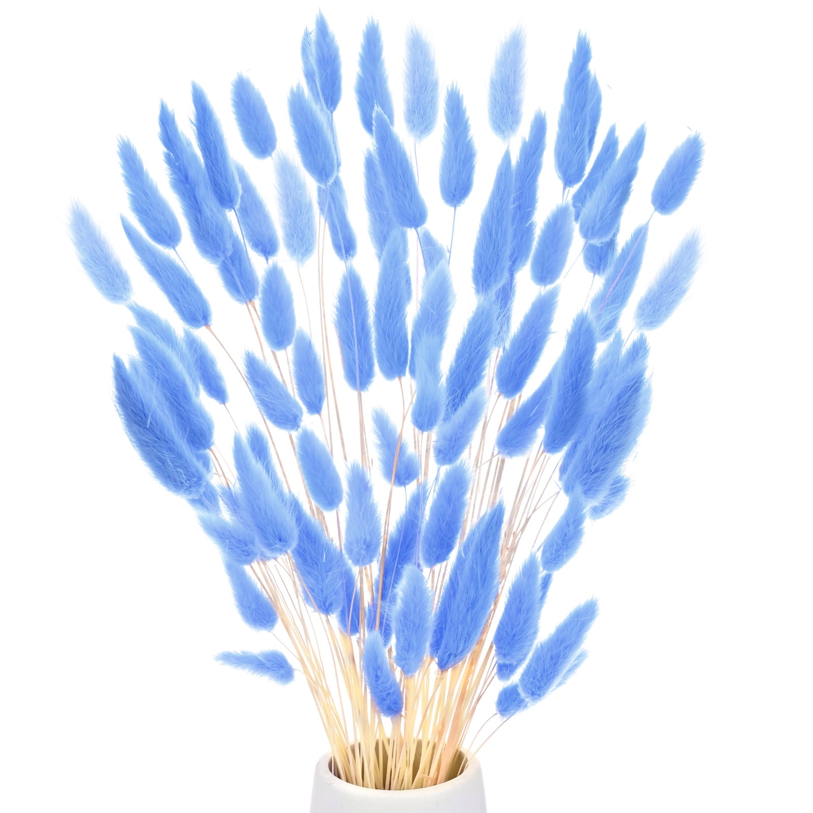 Uxcell 60-Pack Bunny Tails Grass 17 Inch Fluffy Rabbit Tail Grass Dried ...