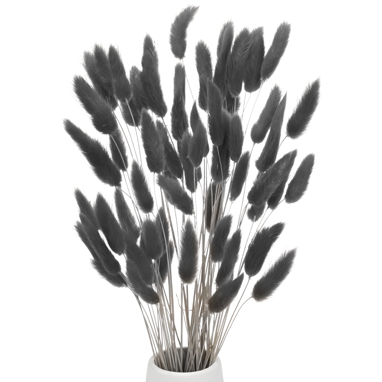 Uxcell 60-Pack Bunny Tails Grass 17 Inch Fluffy Rabbit Tail Grass Dried ...